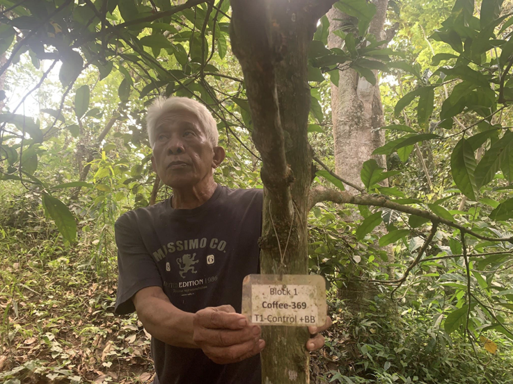 Farmers’ hope on the struggling Kapeng Barako industry | Los Baños Times