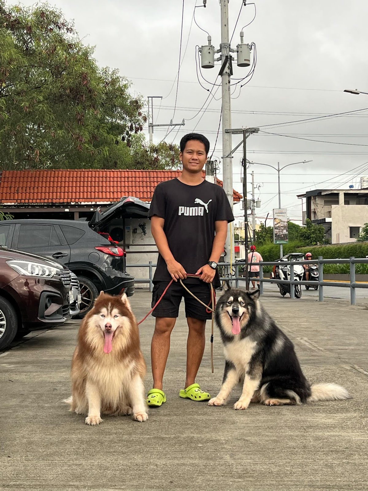 Ang Paghahanap (ng) Buhay ni Bantay: Epekto ng Irresponsible Breeding ...